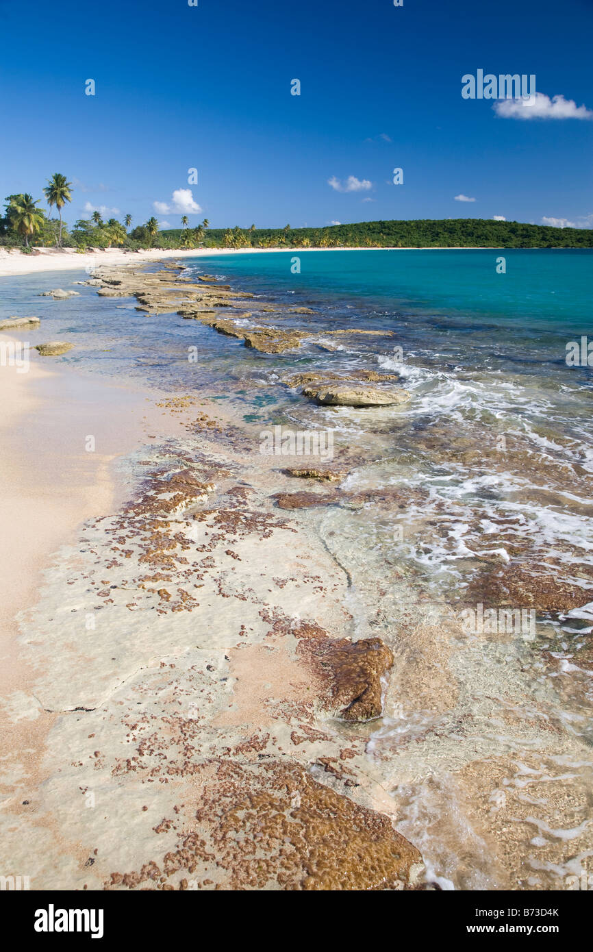 A beach in Vieques Puerto Rico Stock Photo - Alamy