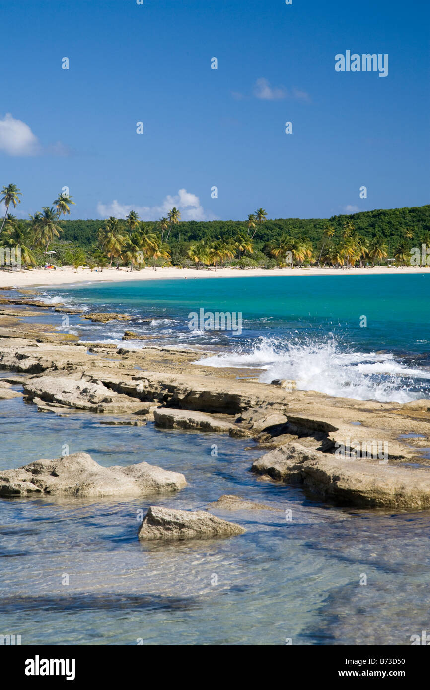 A beach in Vieques, Puerto Rico Stock Photo - Alamy