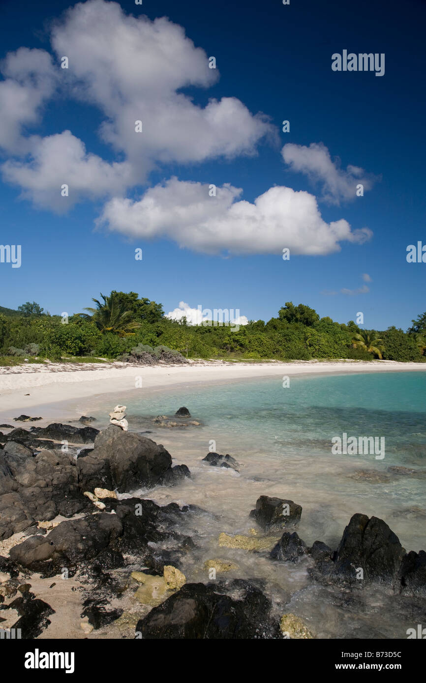 Beach in Vieques Puerto Rico Stock Photo - Alamy