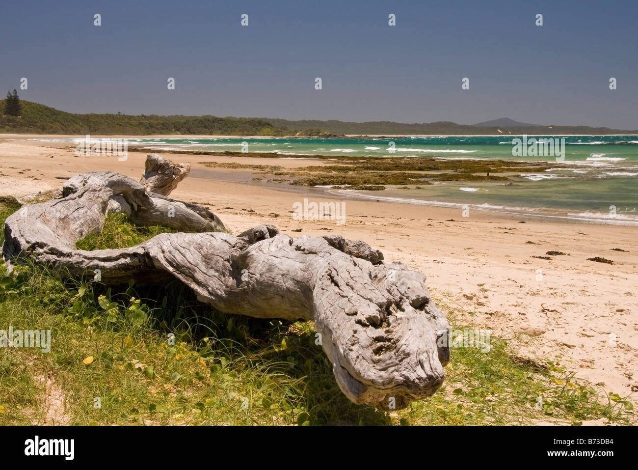 Driftwood in the ocean hi-res stock photography and images - Alamy