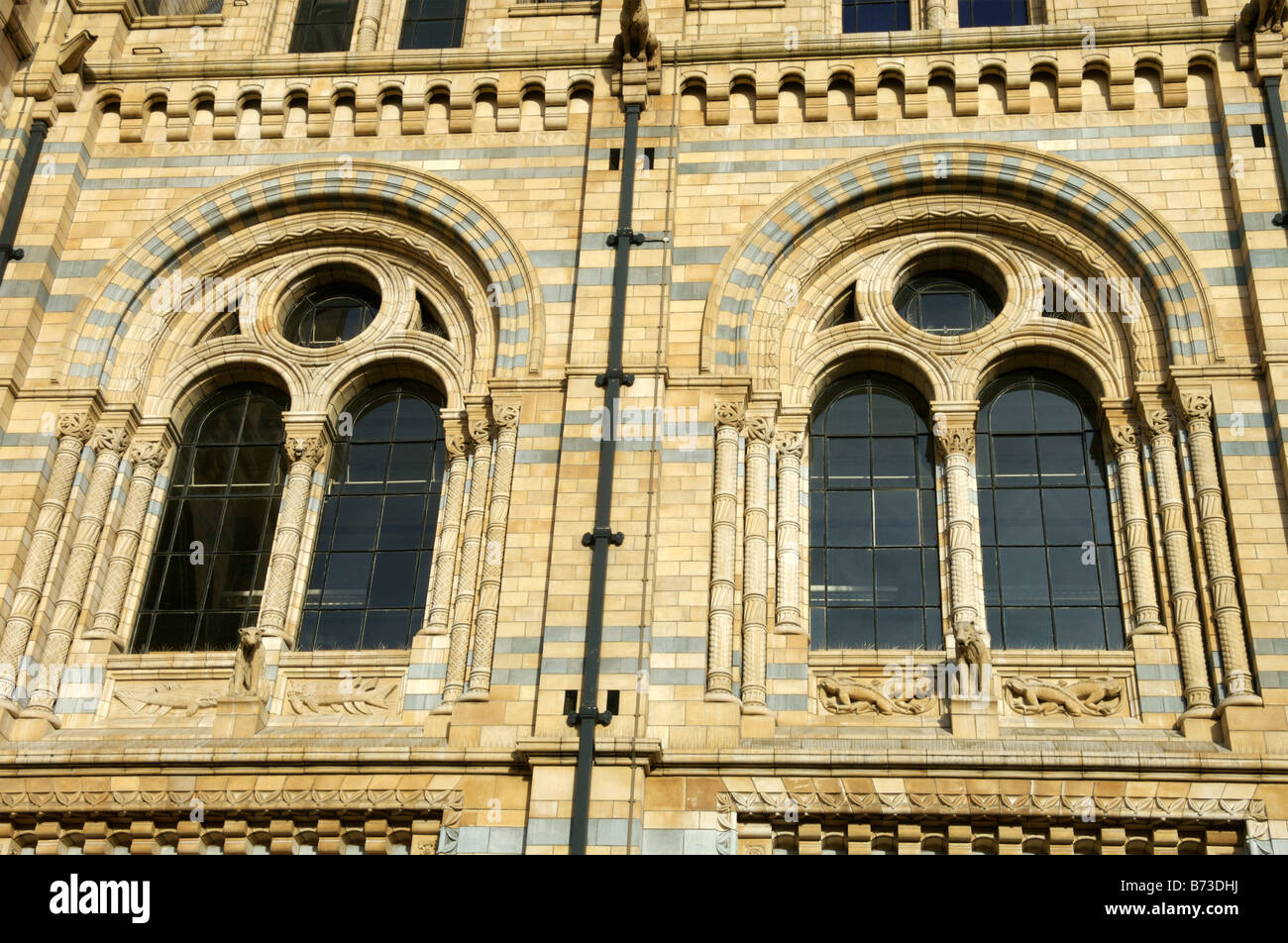 The exterior of the Natural History Museum, London Stock Photo - Alamy