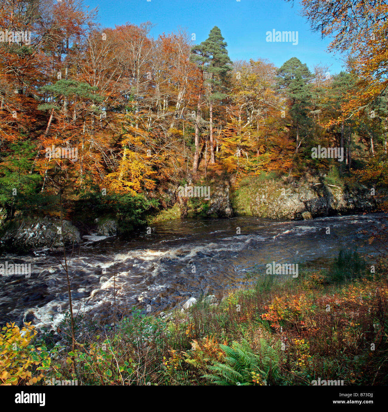 Forres river hi-res stock photography and images - Alamy