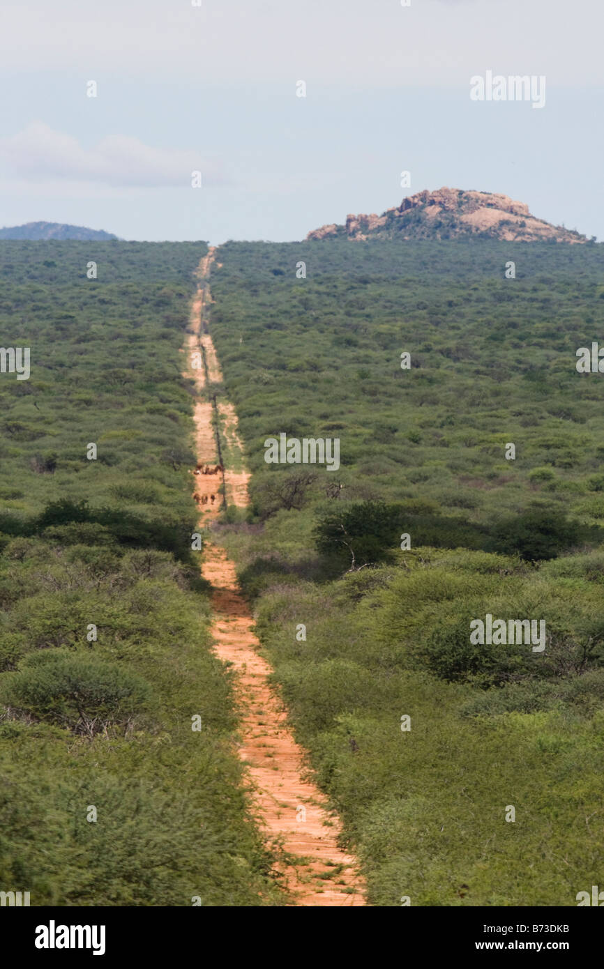 A straight dirt road cuts through the bush in northern Namibia Stock ...