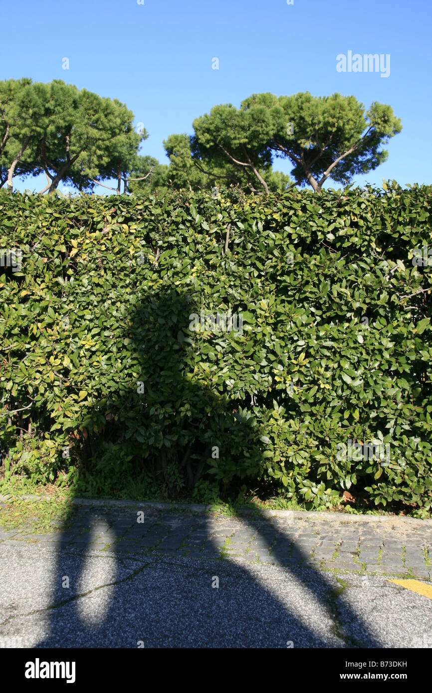 Mans statue hi-res stock photography and images - Alamy