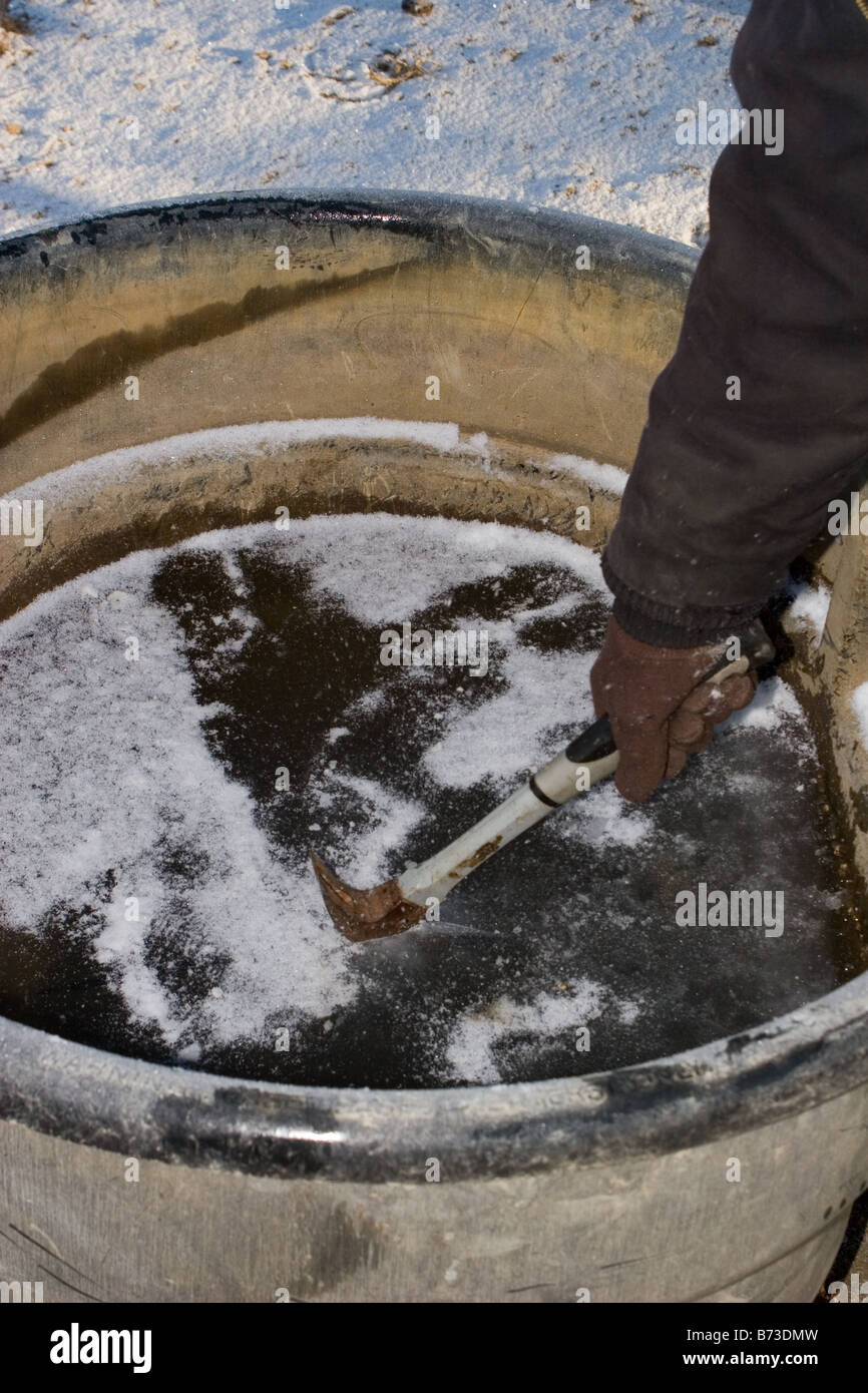 Breaking ice trough hi-res stock photography and images - Alamy