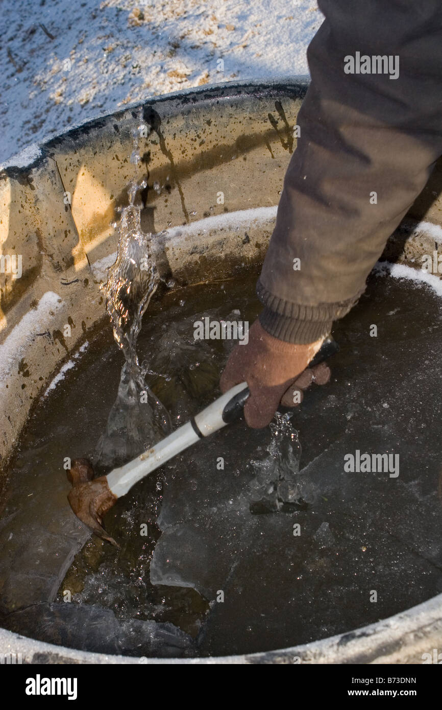 Ice trough hi-res stock photography and images - Alamy