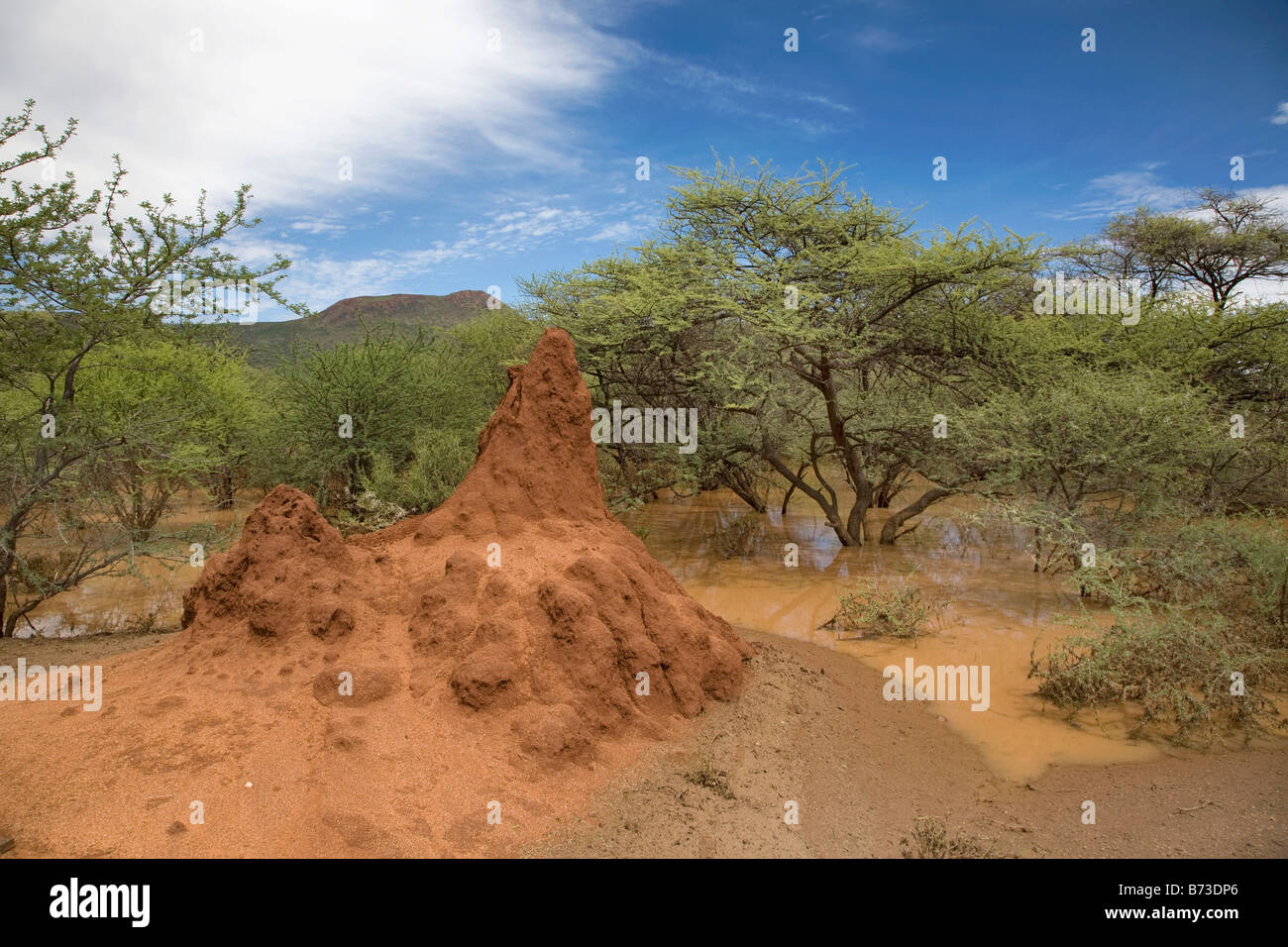 Termite hill in Namibia Stock Photo - Alamy