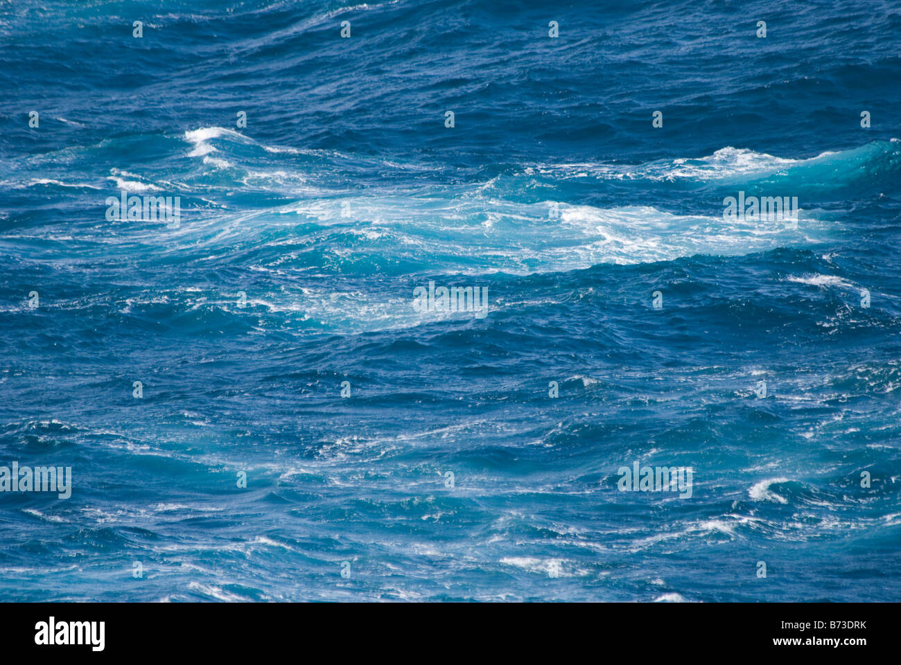 Deep Blue Ocean Movie