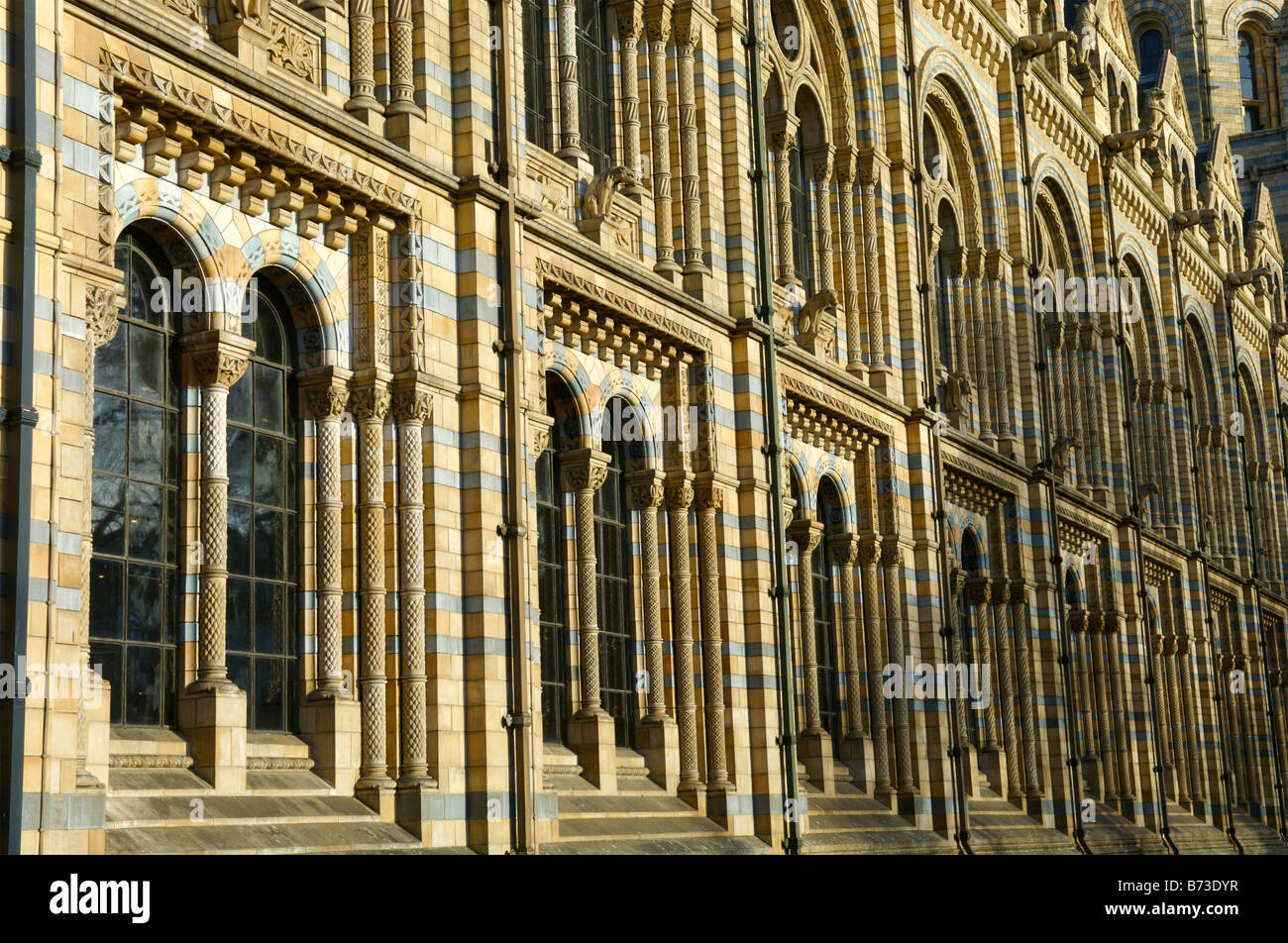 London Natural History Museum Exterior Stock Photos & London Natural ...