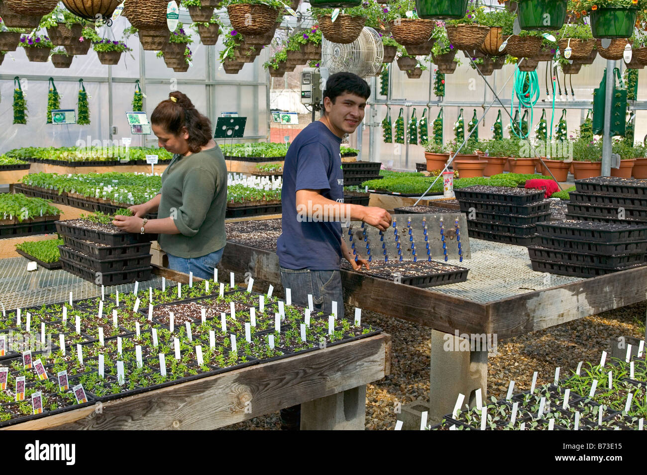Workers planting seeds hi-res stock photography and images - Alamy