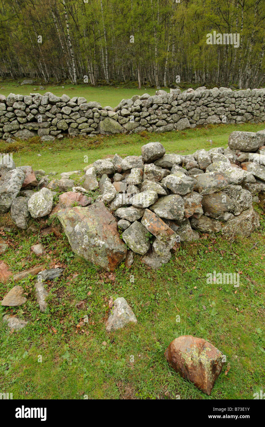 Stone fence walls in pasture meadows, Pyrenees, France Stock Photo - Alamy