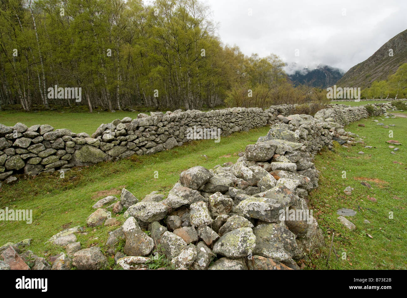 Stone fence walls in pasture meadows, Pyrenees, France Stock Photo - Alamy
