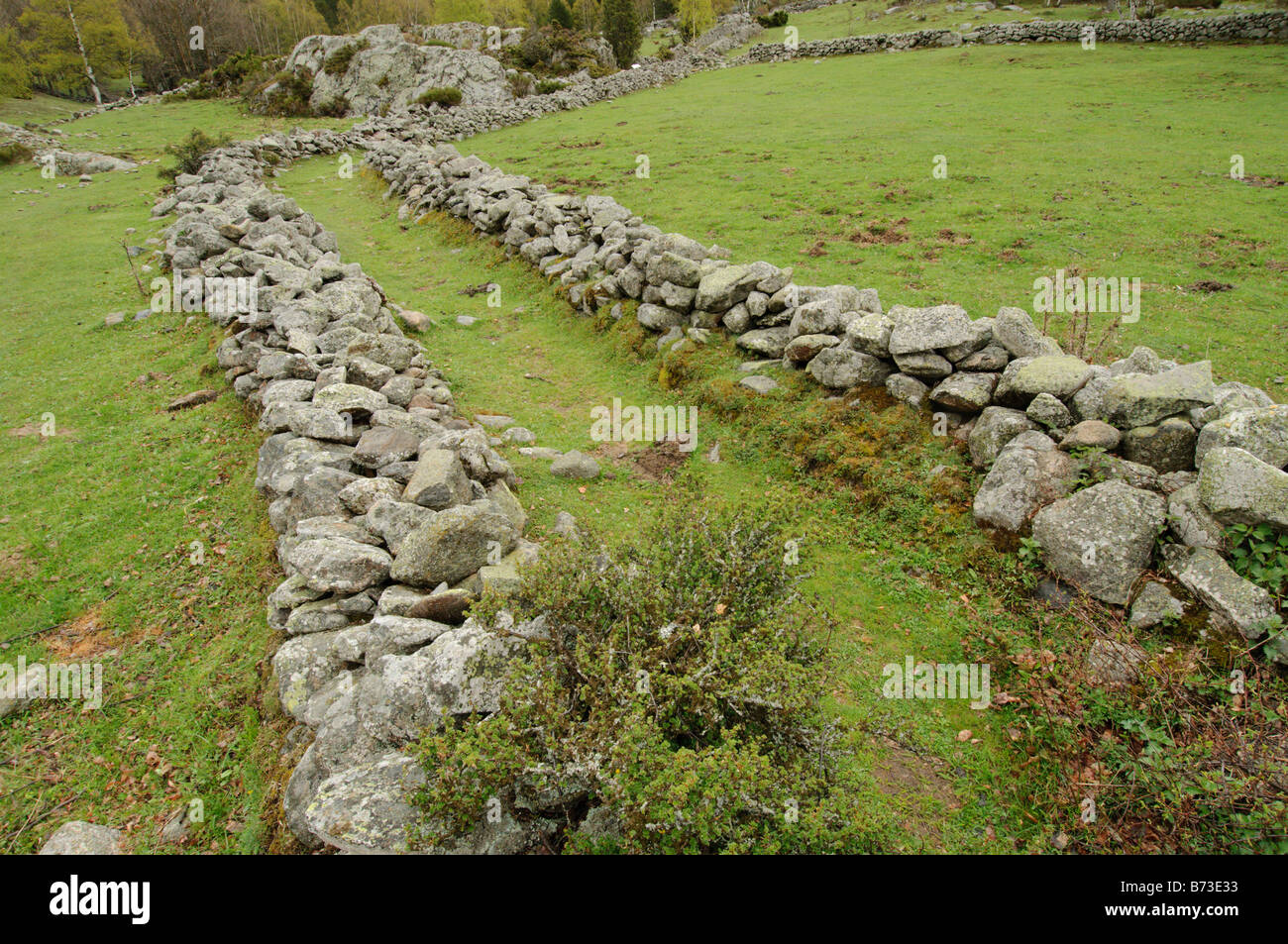 Vegetal wall hi-res stock photography and images - Alamy