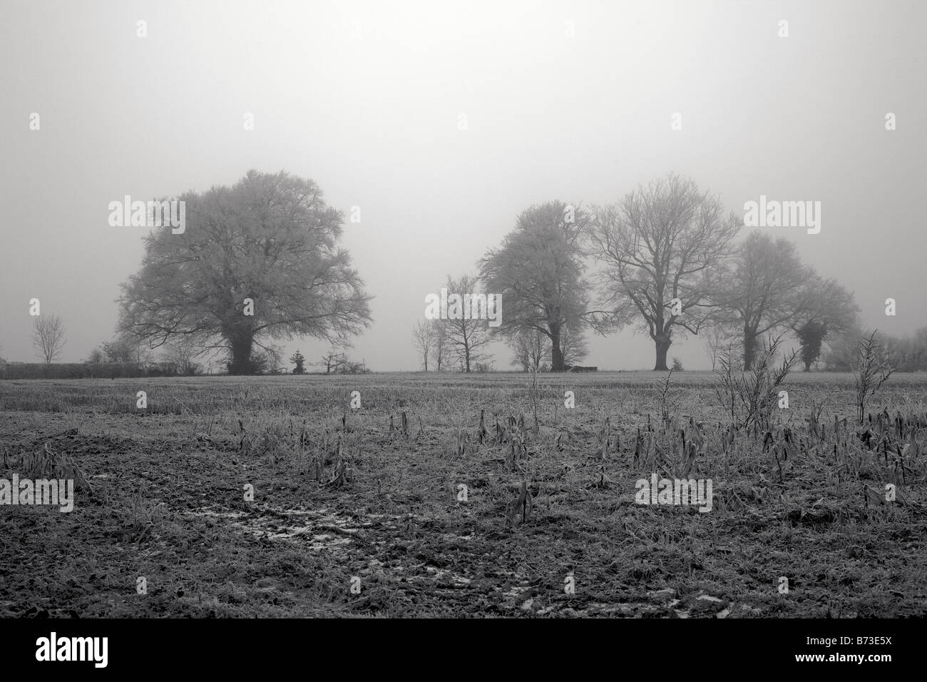 A cold view across a winters field Stock Photo - Alamy
