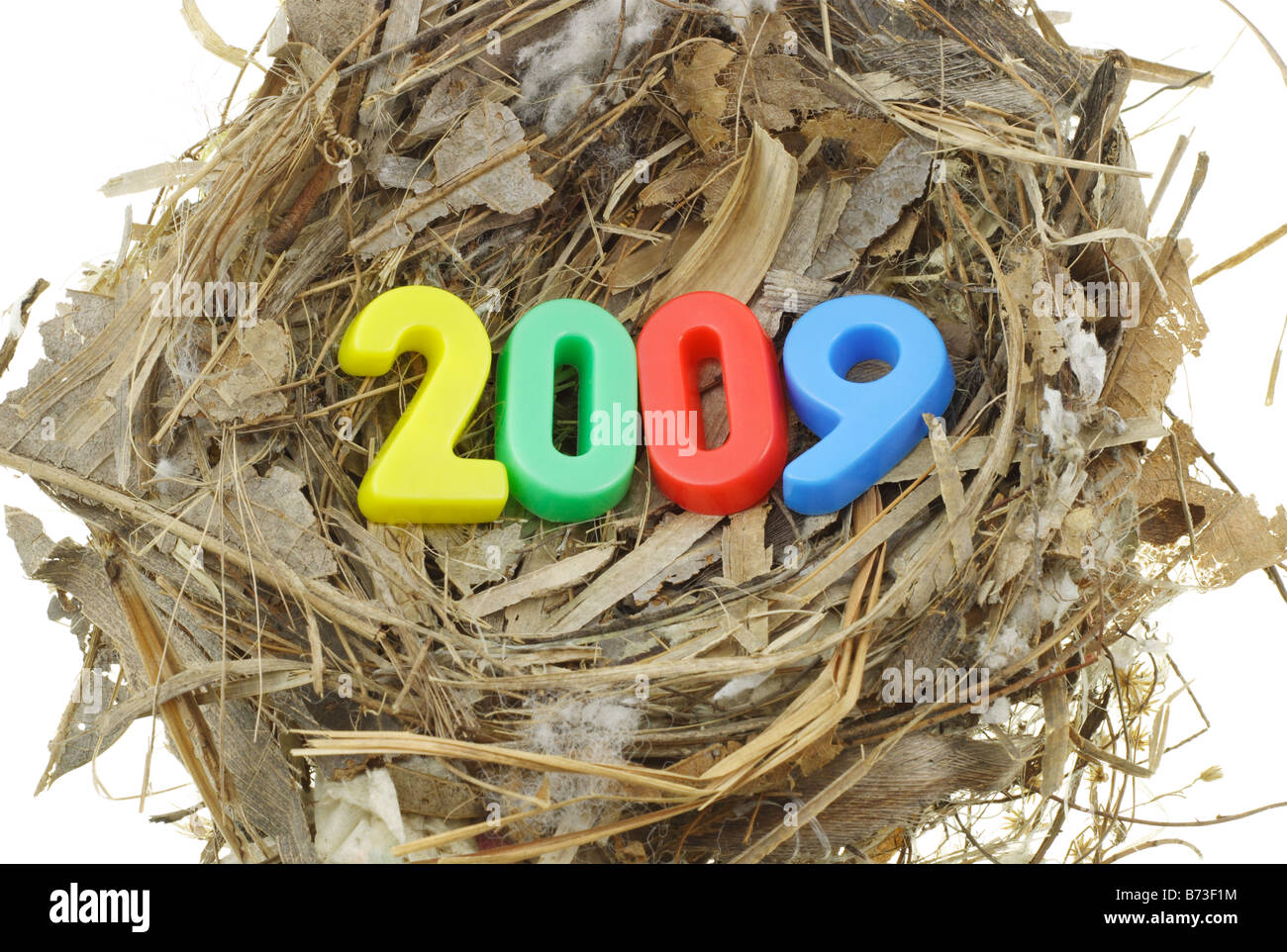 Plastic number blocks in bird nest signifying the beginning of year ...