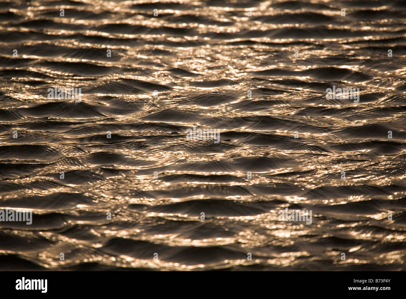 The surface of a lake ripples in the wind. Winter sunshine castes a ...