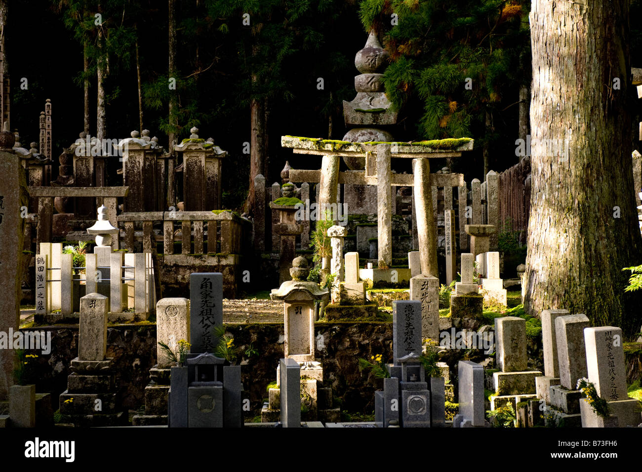 Gravestones in Okunoin Cemetery on Mount Koya in Koyasan, Wakayama ...