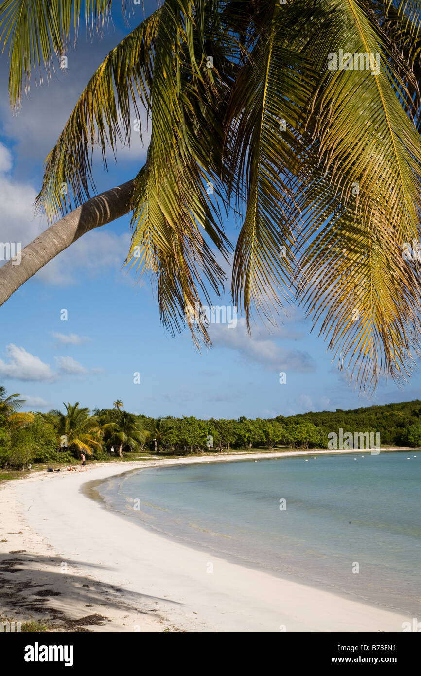Sun Bay beach in Vieques Puerto Rico Stock Photo - Alamy