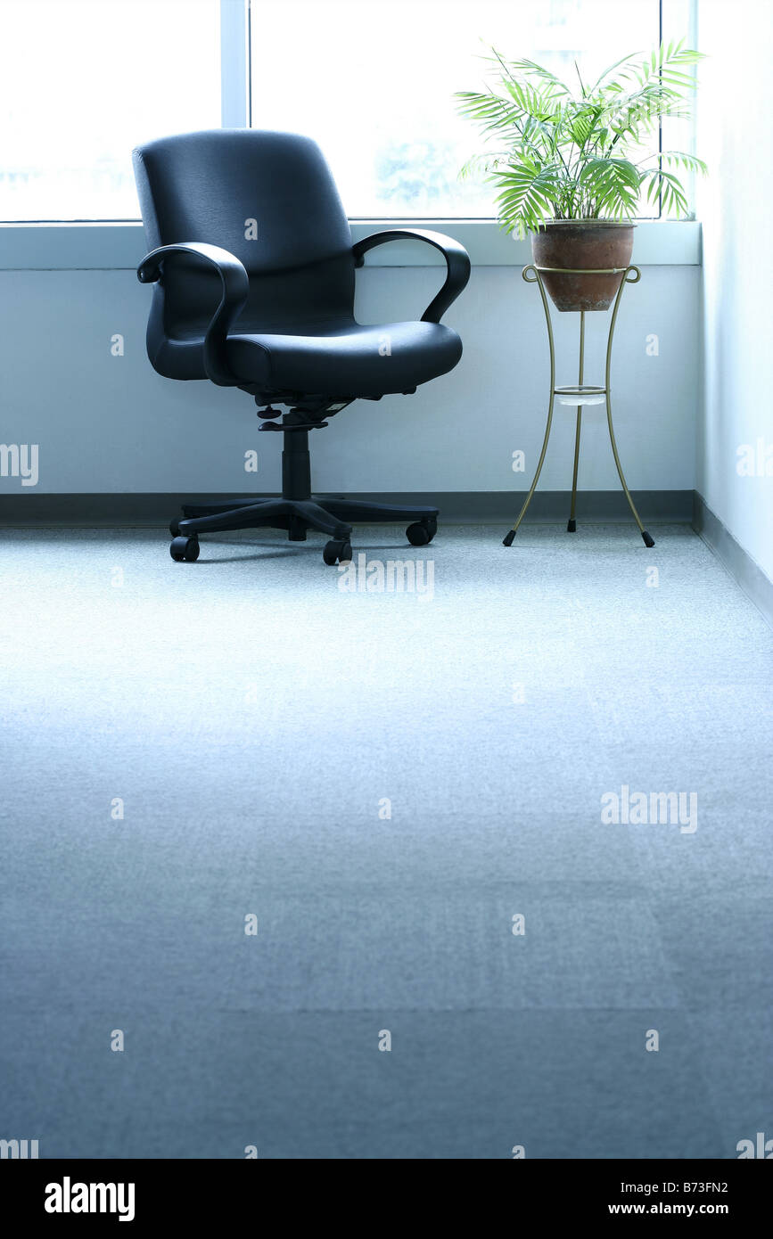 Office Chair Pot plant Stock Photo - Alamy