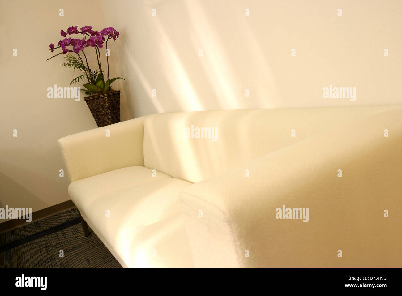 Office Sofa Pot plant Stock Photo - Alamy