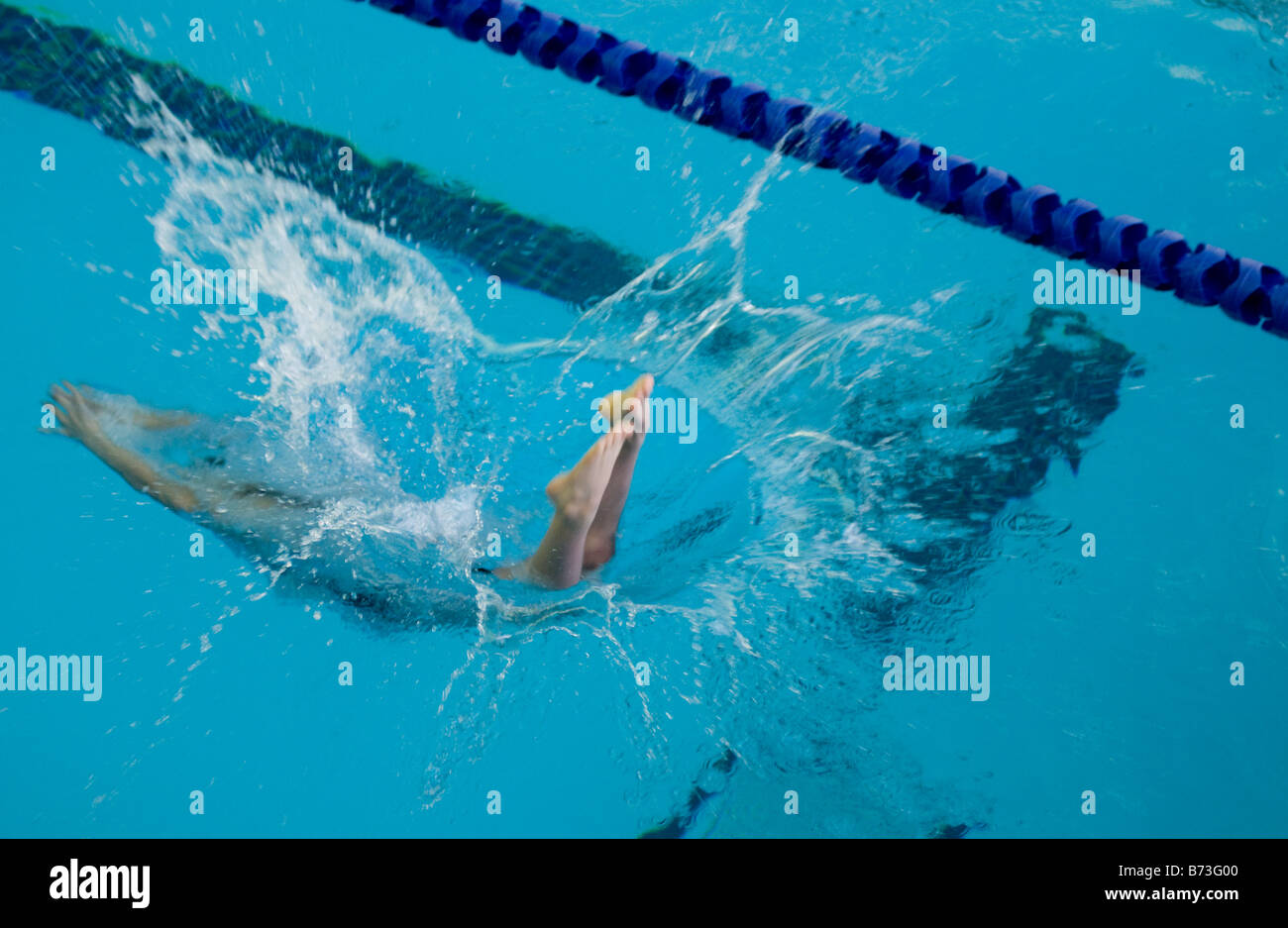 Diving into the pool at the start of a race Stock Photo - Alamy