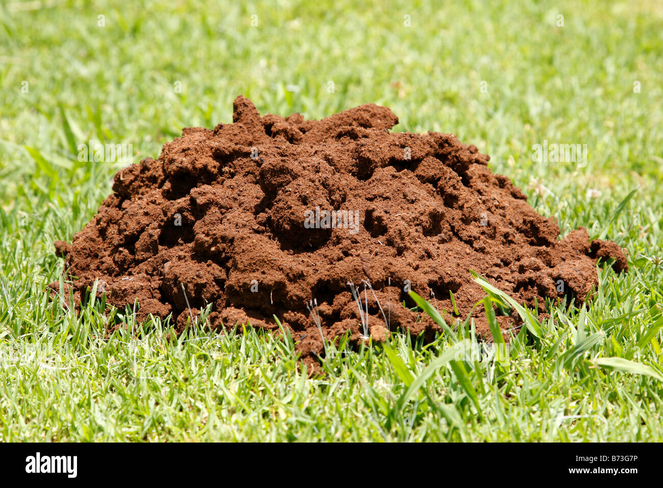 Mound of loose soil hi-res stock photography and images - Alamy