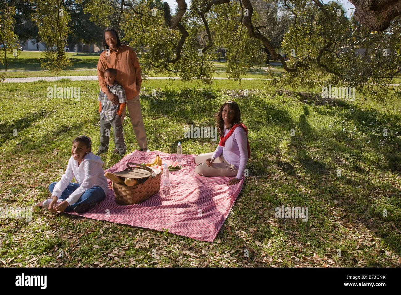 African American family having a picnic outdoors in park Stock Photo ...