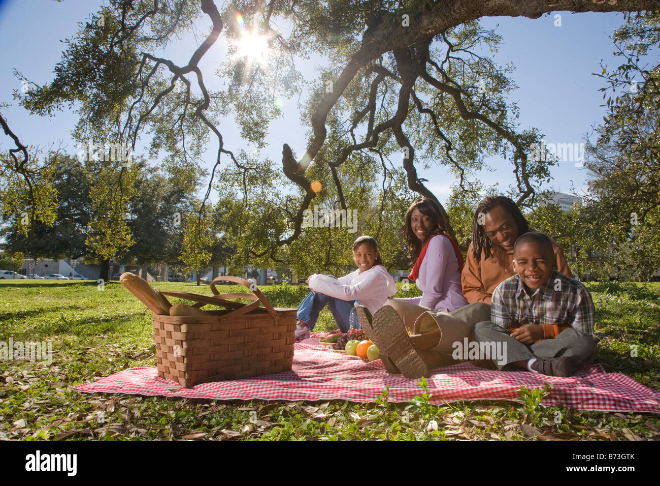 African American Family Picnic