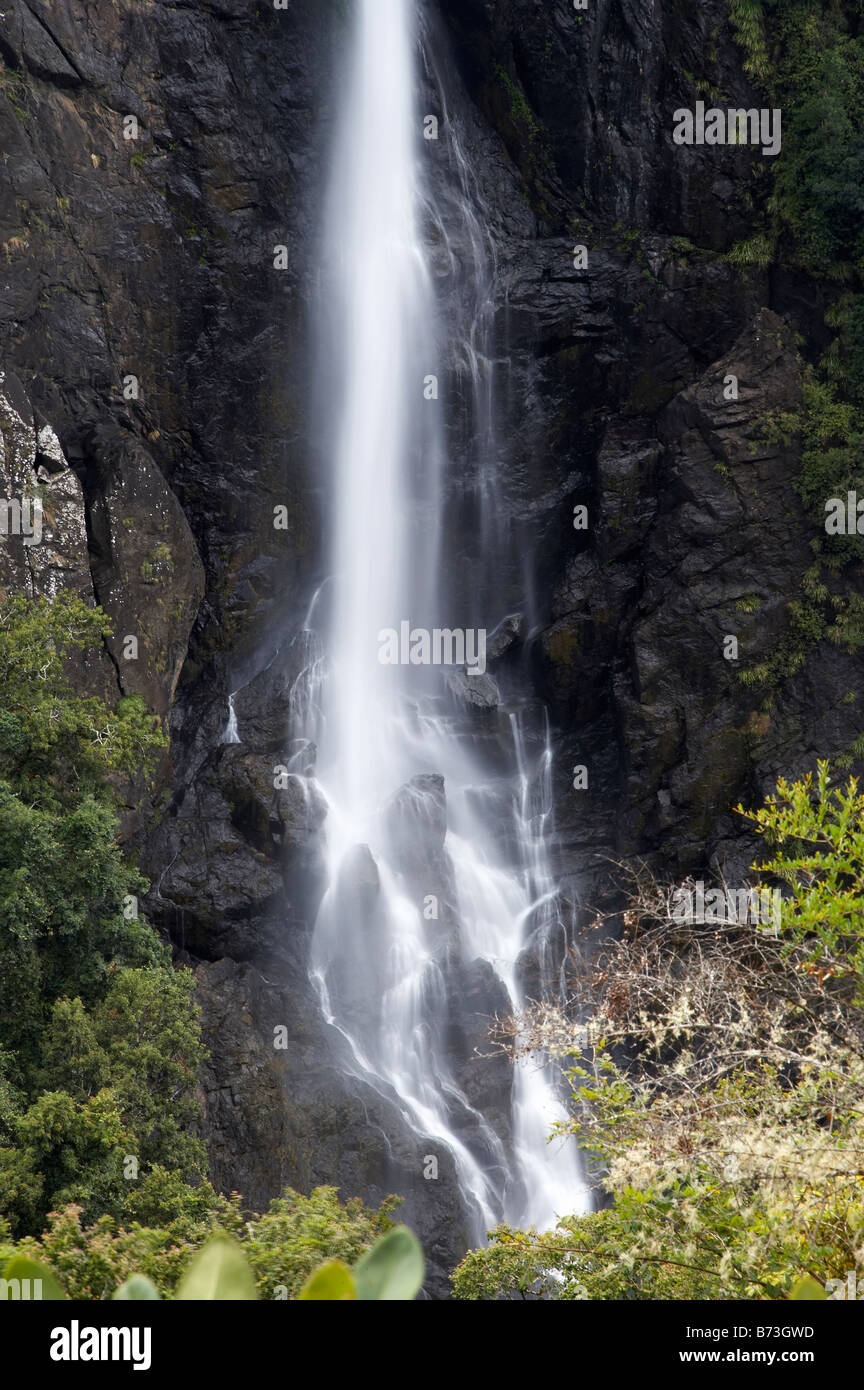 Ellenborough Falls near Elands Greater Taree Region New South Wales ...