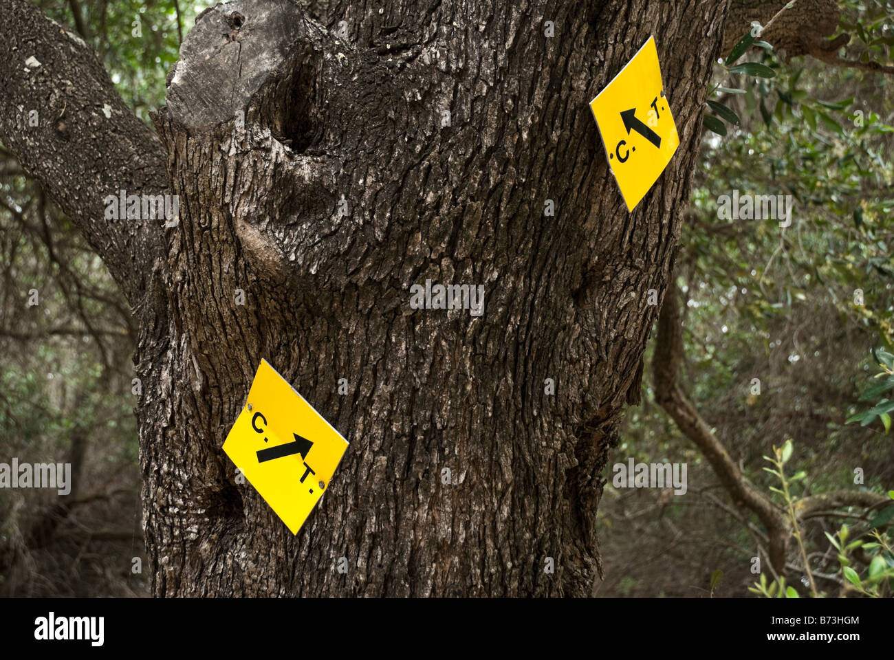 Corfu trail sign Stock Photo - Alamy