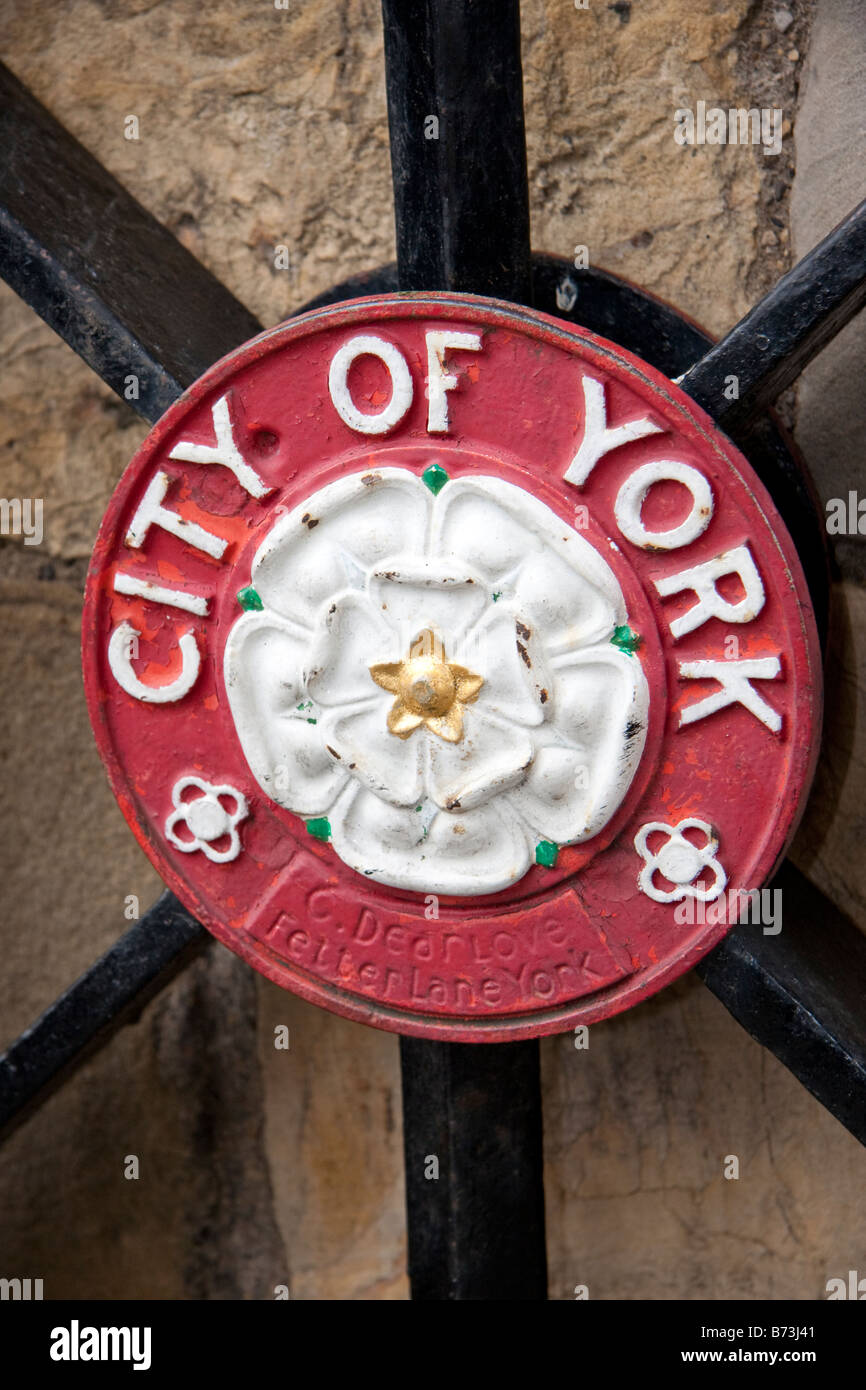 House of york rose hi-res stock photography and images - Alamy