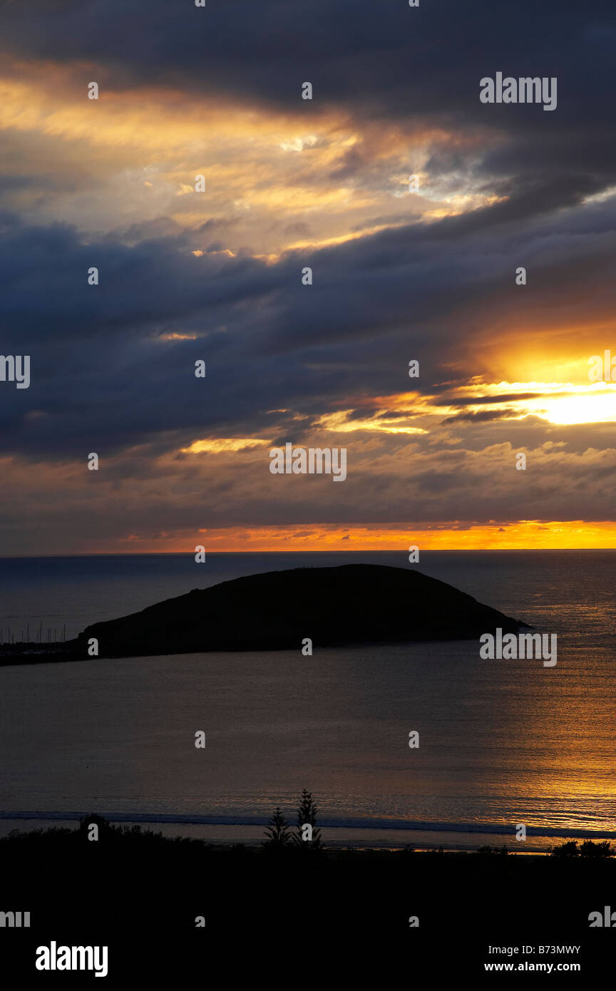 Muttonbird island nature reserve hi-res stock photography and images ...