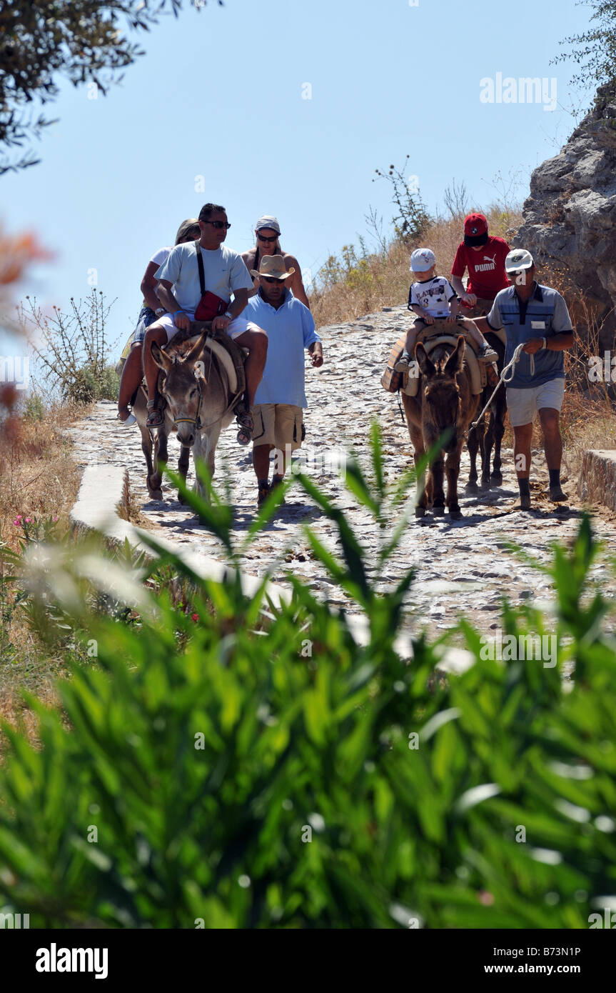 Donkeys lindos rhodes hi-res stock photography and images - Alamy