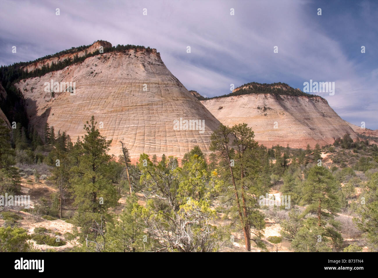 Checkerboard Mesa in Zion National Park Utah Stock Photo - Alamy