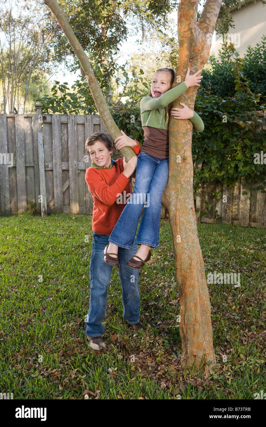 Children climbing tree in backyard Stock Photo - Alamy