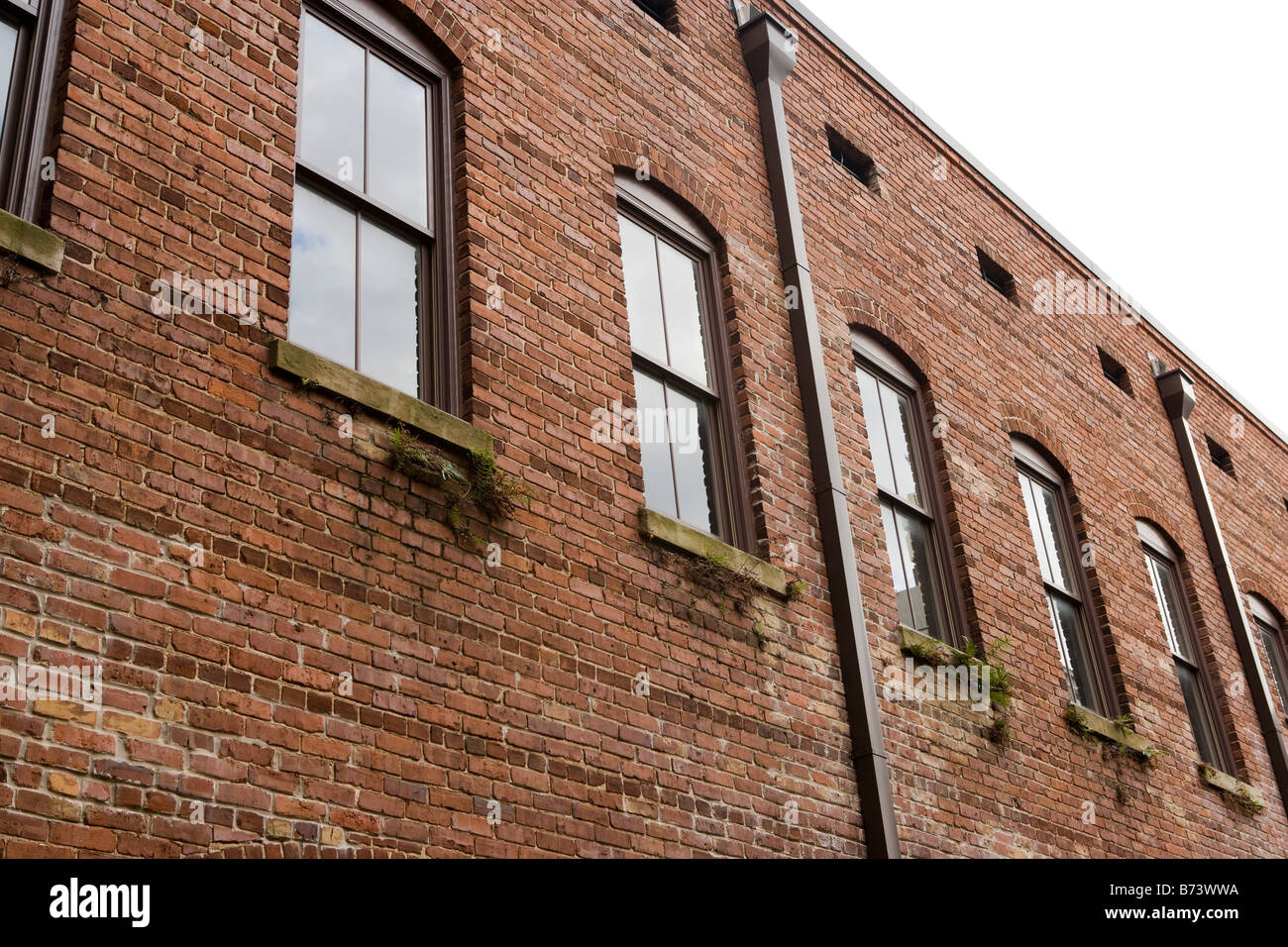 Urban scene of windows on upper story of brick building, low angle view ...