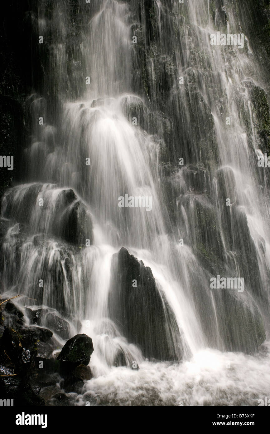 New Zealand, South Island, The Catlins, Papatowai, Matai Falls Stock ...