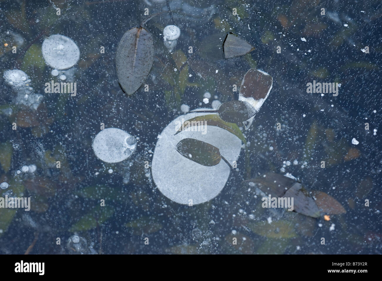 Ice freezing on lake hi-res stock photography and images - Alamy