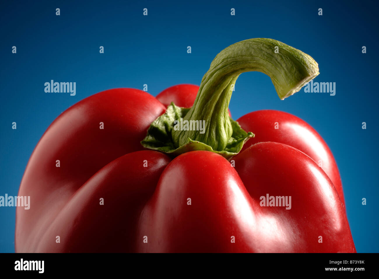 Paprika red hi-res stock photography and images - Alamy
