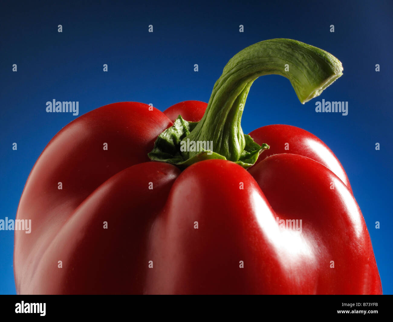 Paprika red hi-res stock photography and images - Alamy