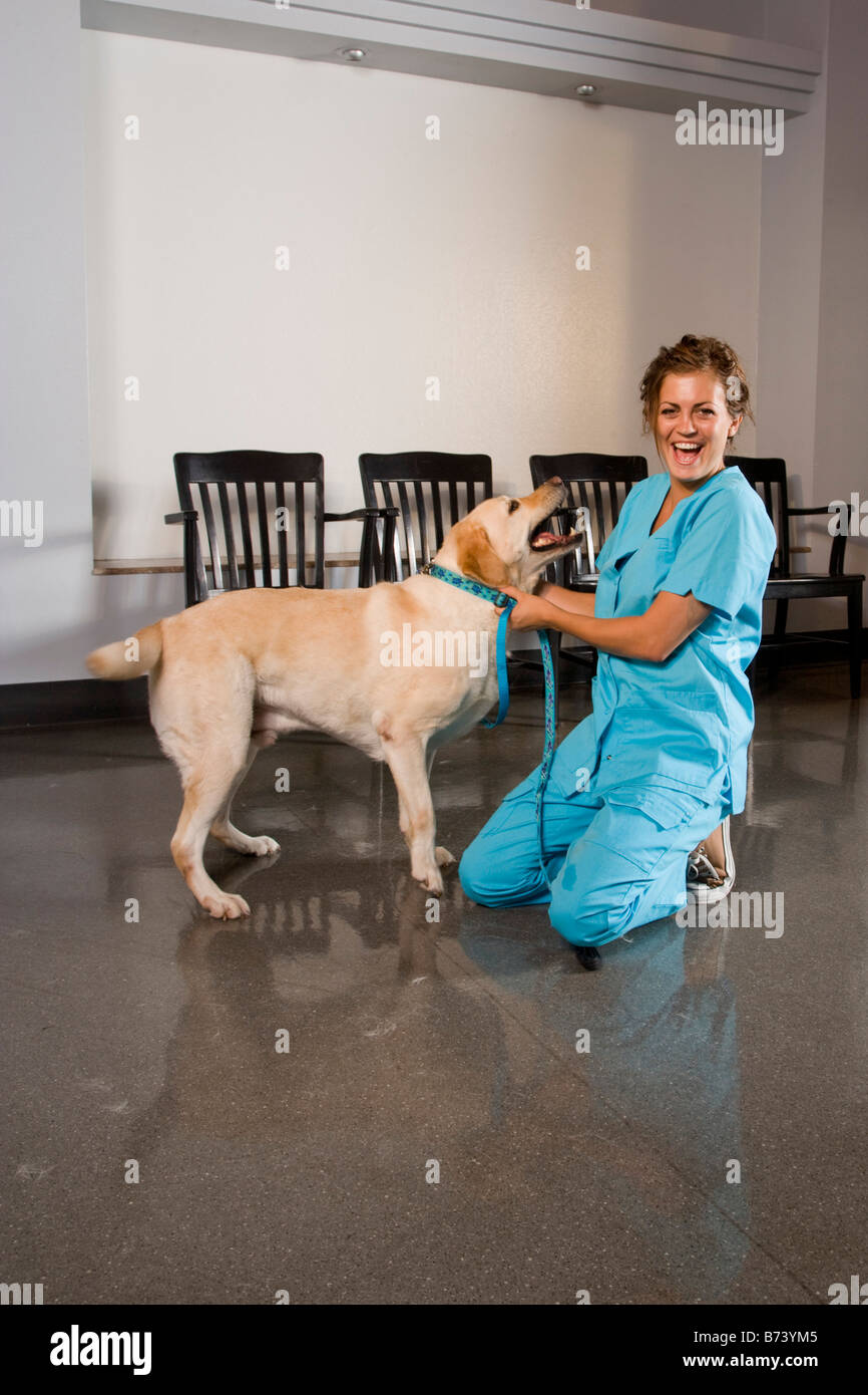 Dog veterinary waiting room hi-res stock photography and images - Alamy