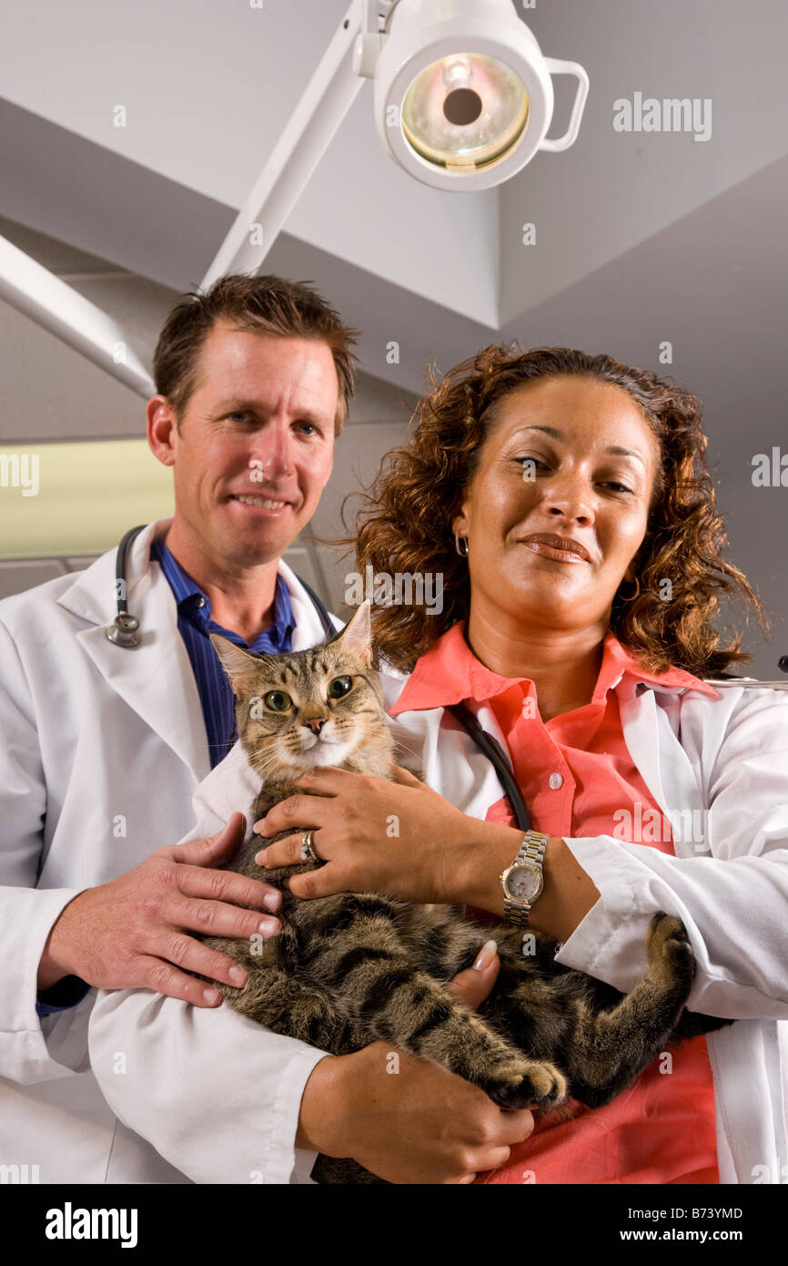 In vets arms hi-res stock photography and images - Alamy