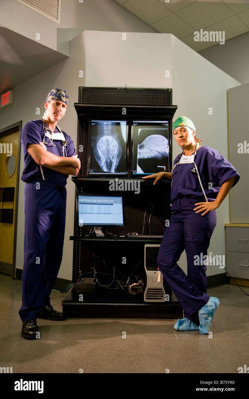 X ray veterinarian hi-res stock photography and images - Alamy