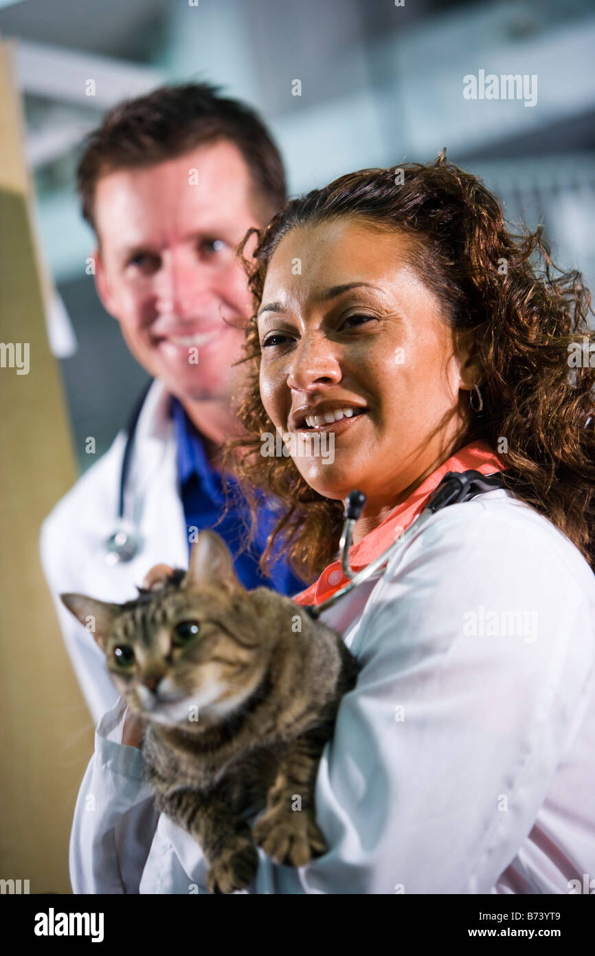 Diverse veterinarian check up cat hi-res stock photography and images ...