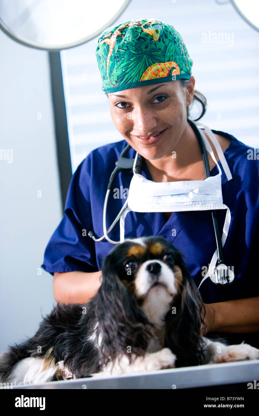 Dog vet surgery preparation hi-res stock photography and images - Alamy