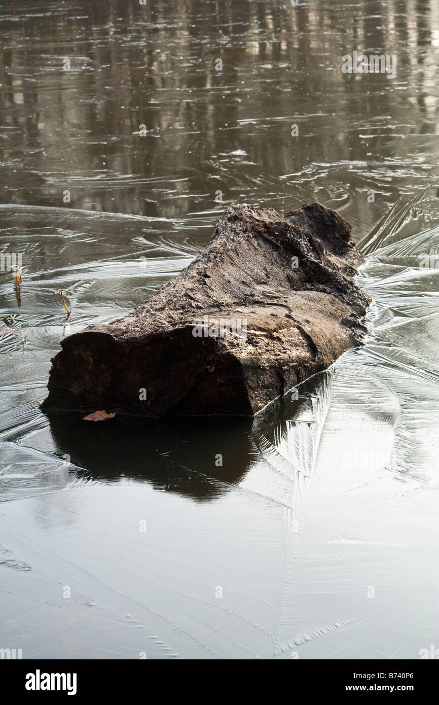 A log embedded in ice on a frozen lake Stock Photo - Alamy