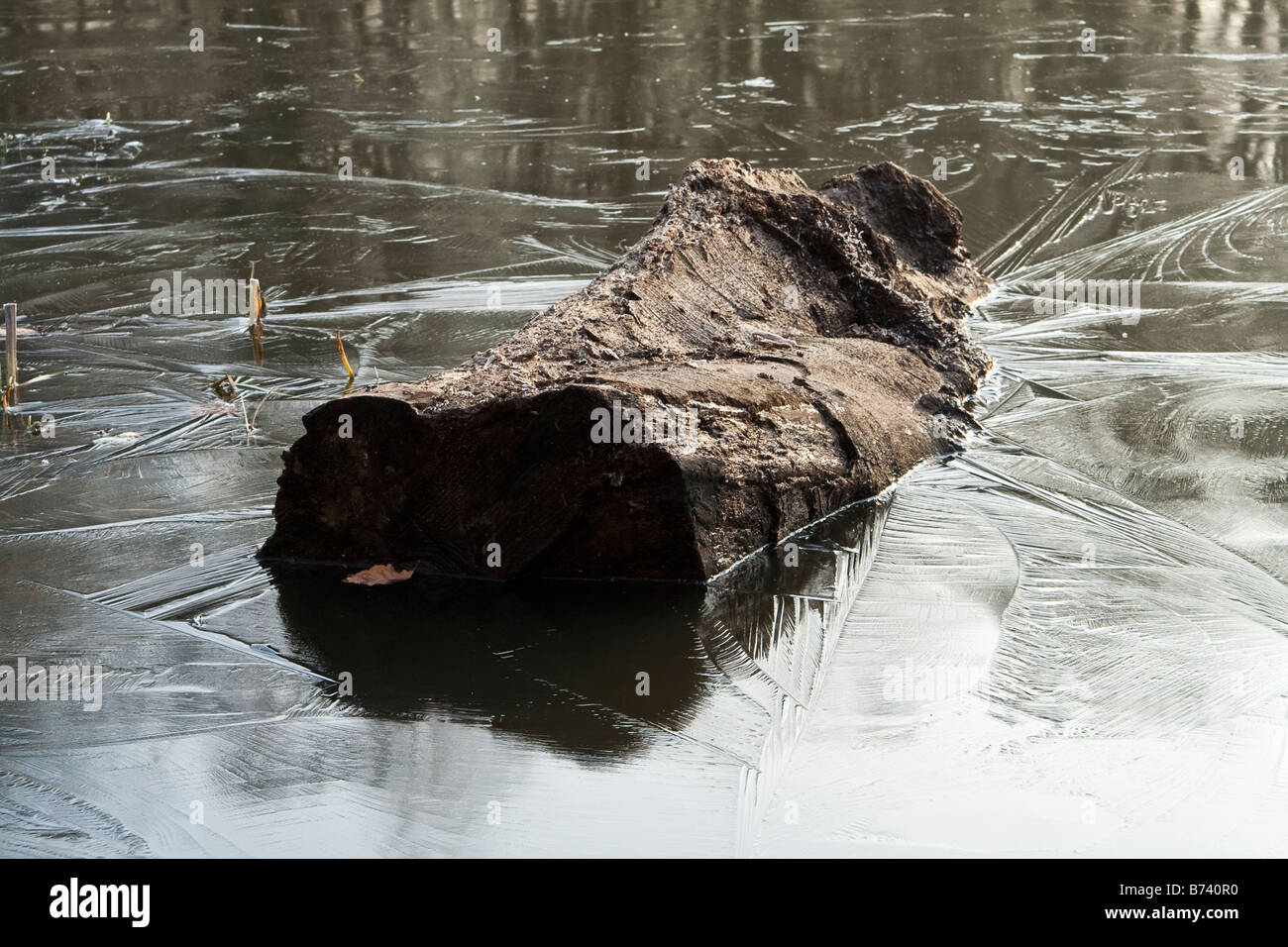 A log embedded in ice on a frozen lake Stock Photo - Alamy