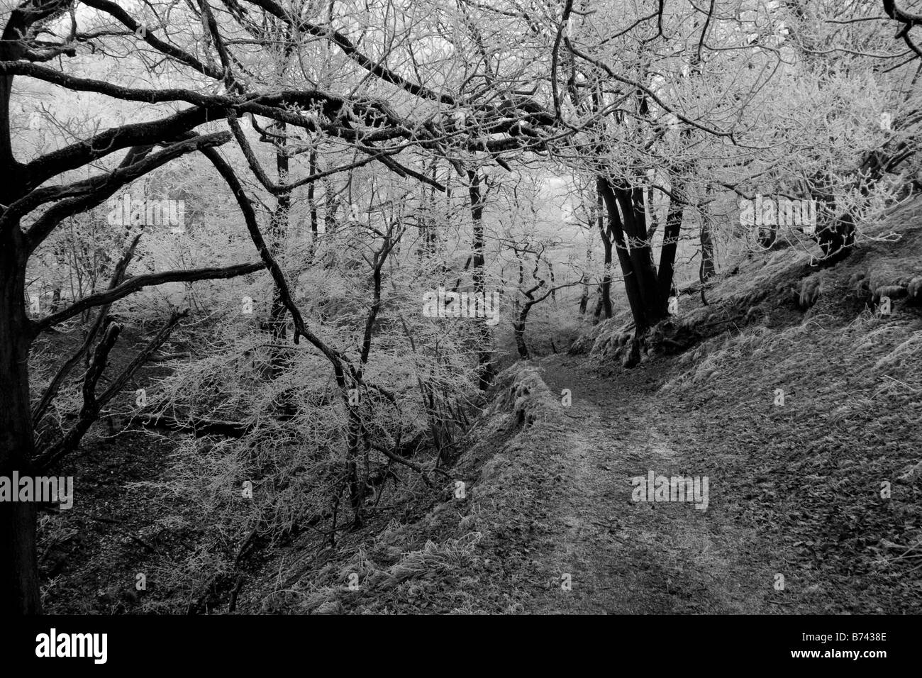 Church Stretton And Shropshire High Resolution Stock Photography and ...
