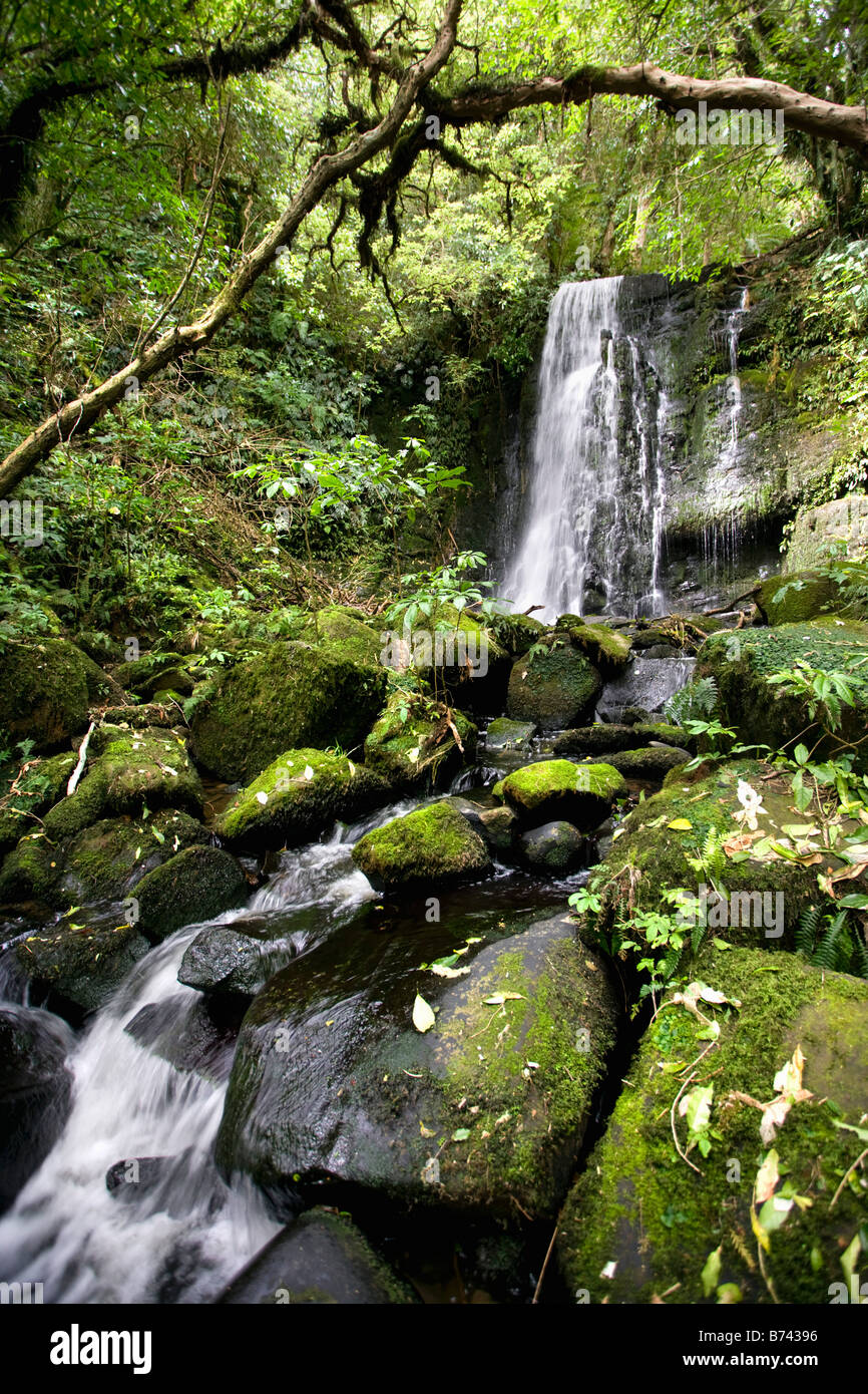 New Zealand, South Island, The Catlins, Papatowai, Matai Falls Stock ...