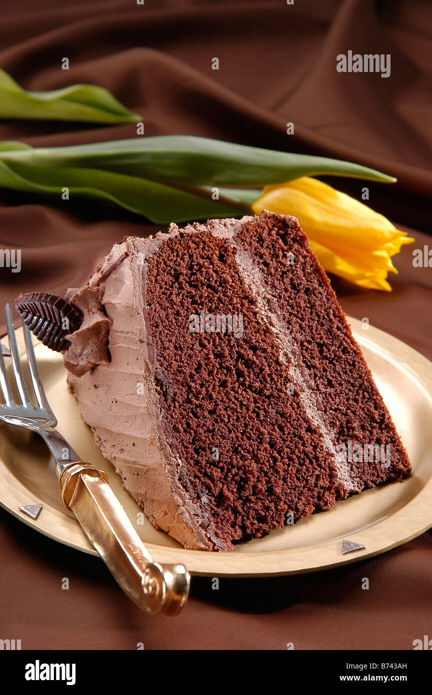 slice of chocolate sponge cake Stock Photo - Alamy